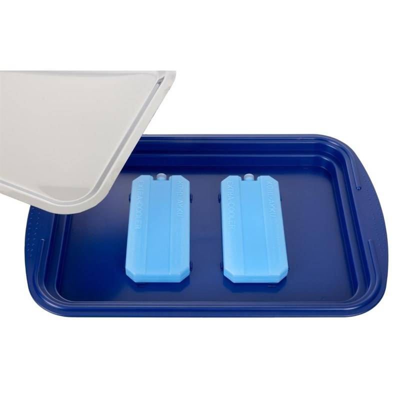 Plateau de présentation inox réfrigéré et couvercle APS - Jardiland