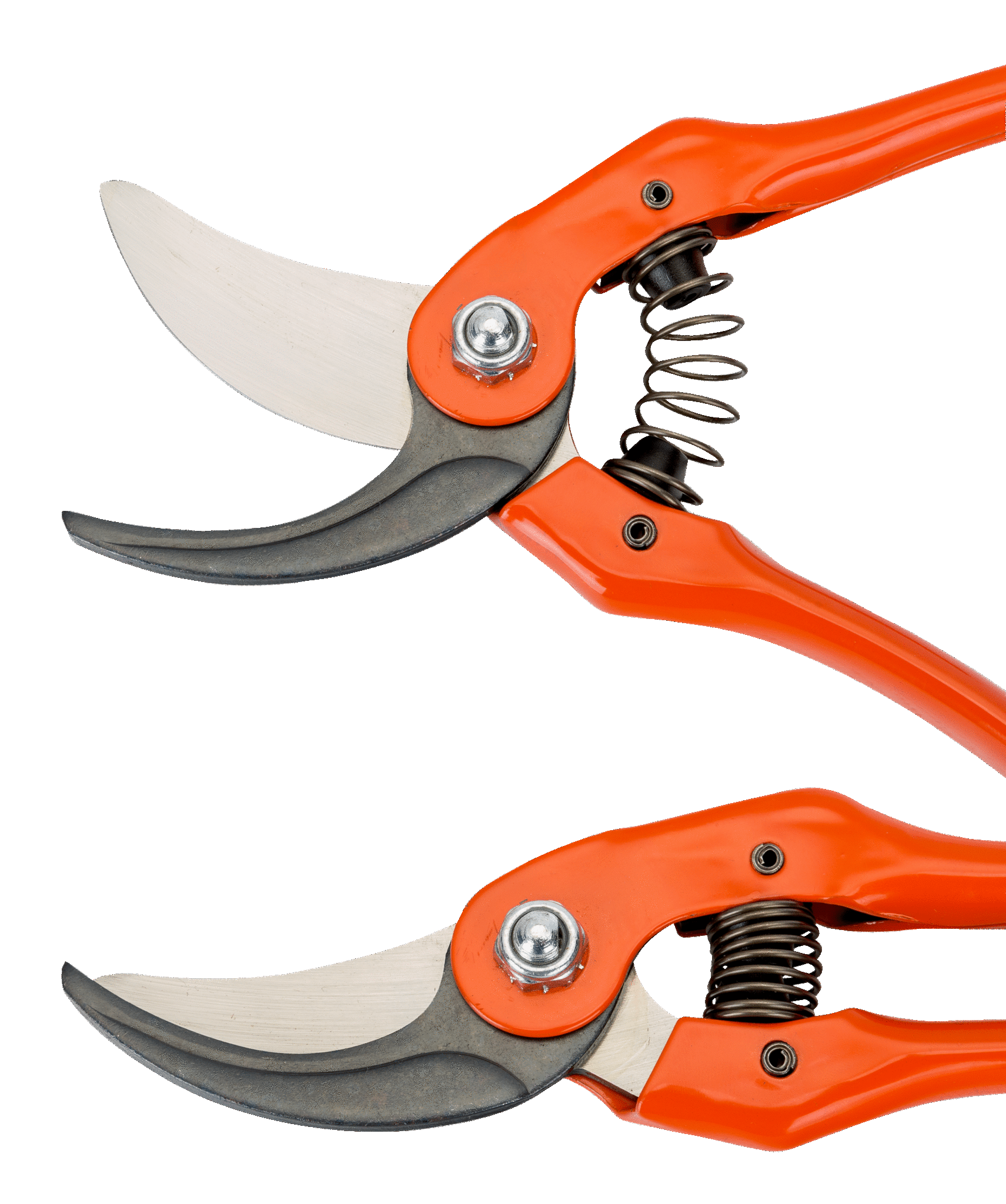 Bahco sécateur P121-20-F acier orange 20cm - Jardiland