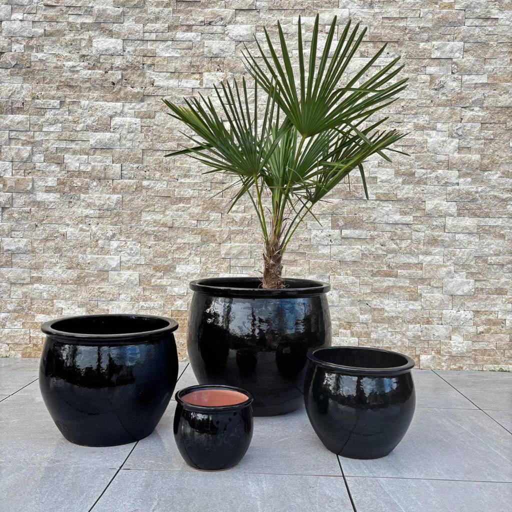 Sitemapcdatahttpsaramixel Thicoipeinfocache Pot Jardilandnull
