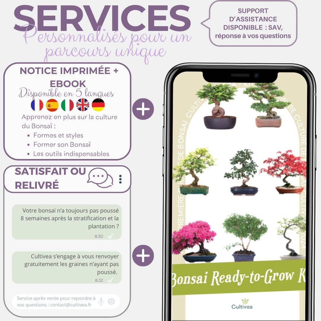 Sitemapcdatahttpsshopinf Inetcombonsai Prix Jardiland
