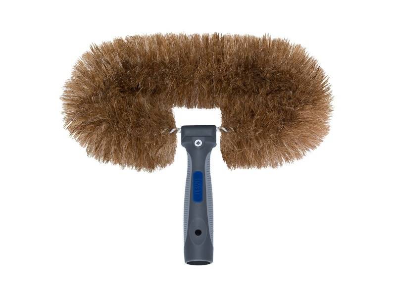 Tête De Loup-Brosse Ovale - Guialto - Jardiland