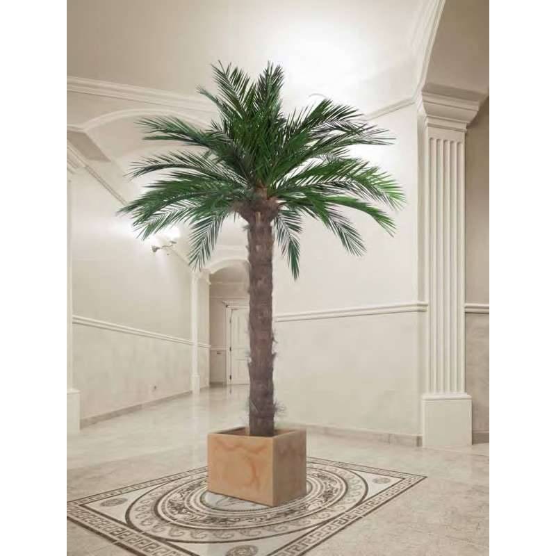 Sitemapcdatahttpsshopmixel Thicoipeinfopalmier Interieur Jardiland