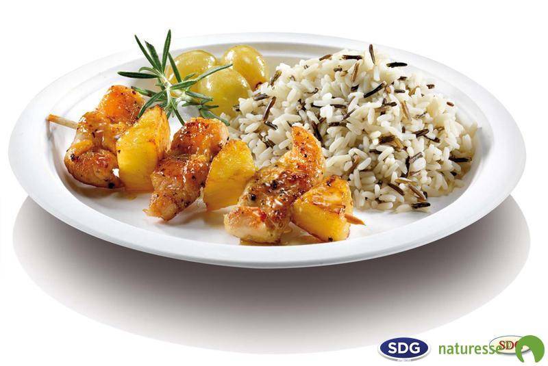 Assiette en Pulpe de Cellulose 18 à 26 cm - SDG - Lot de 500 - - Jardiland
