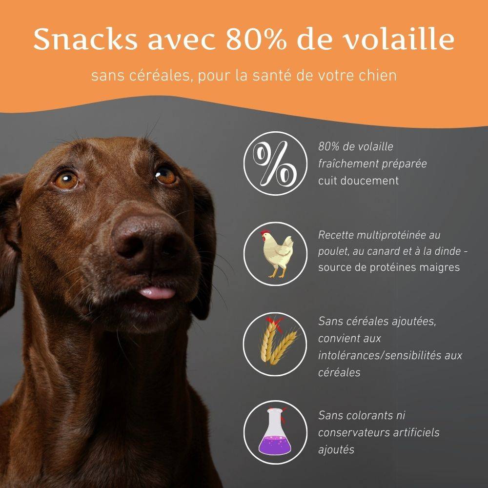 Wildfang - Pack Amour de la Volaille - pour chiens de grande taille à ...