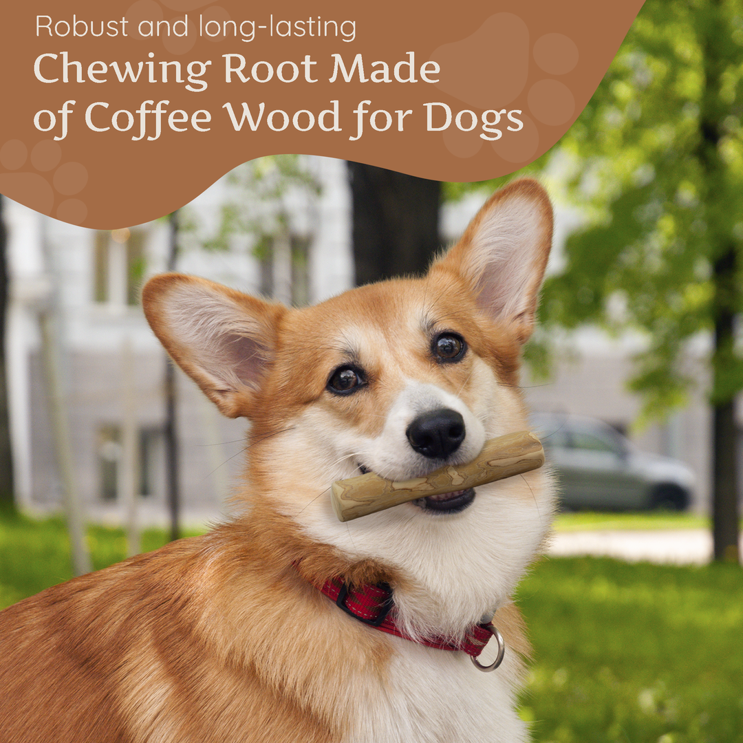 Wildfang - Coffret Gourmet Mini - pour chiens de très petite taille ...