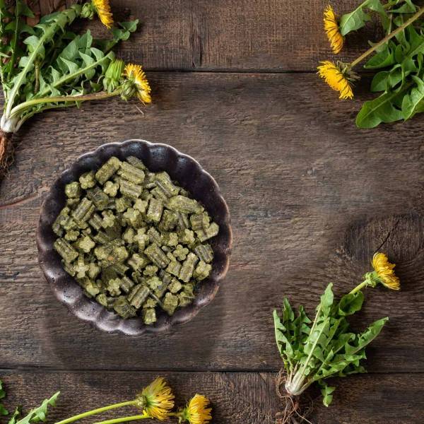 Granulés Grainless Complete pour lapins adultes - Jardiland