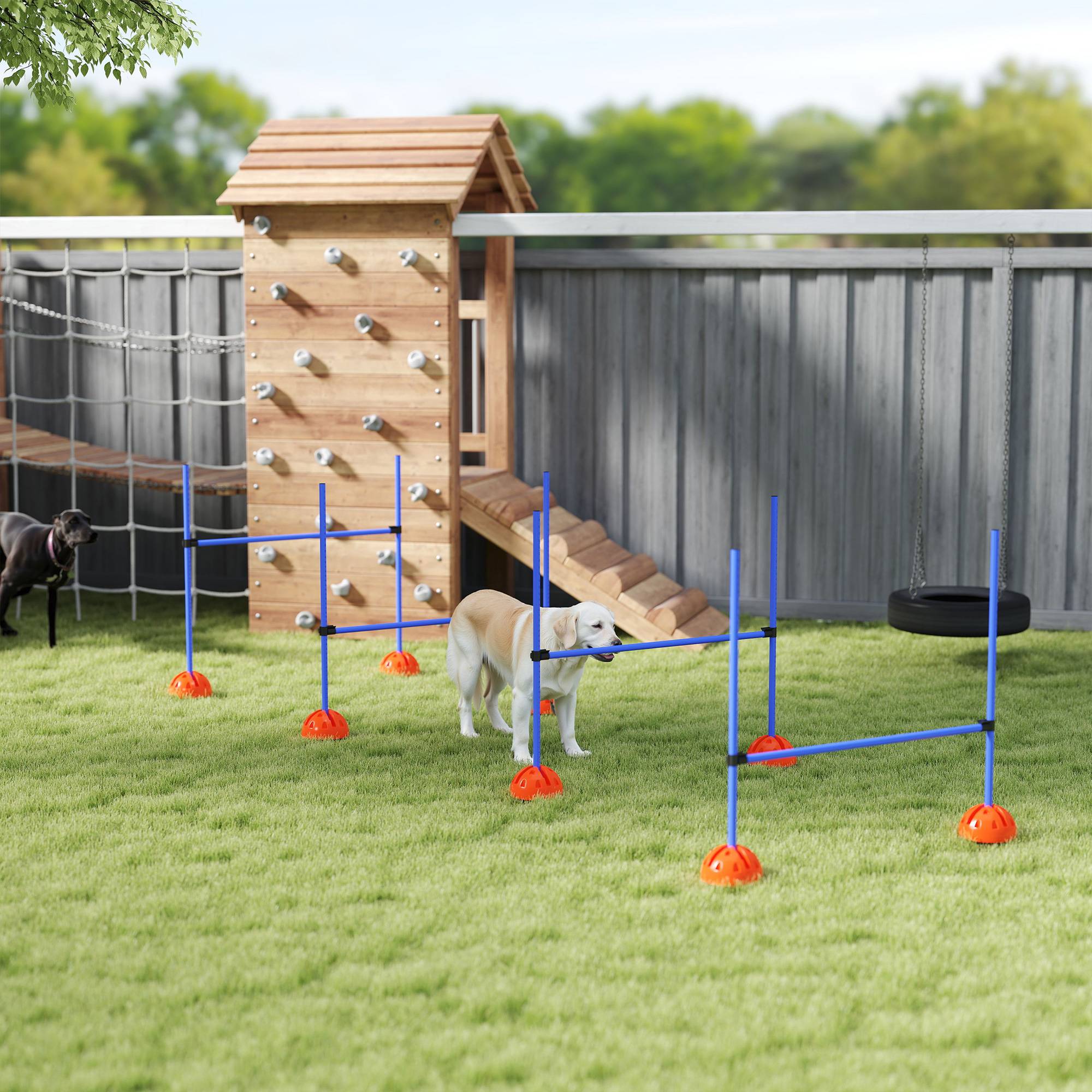 Kit d'agilité pour chien ABS bleu et orange 124 x 19.5 x 103 cm ...
