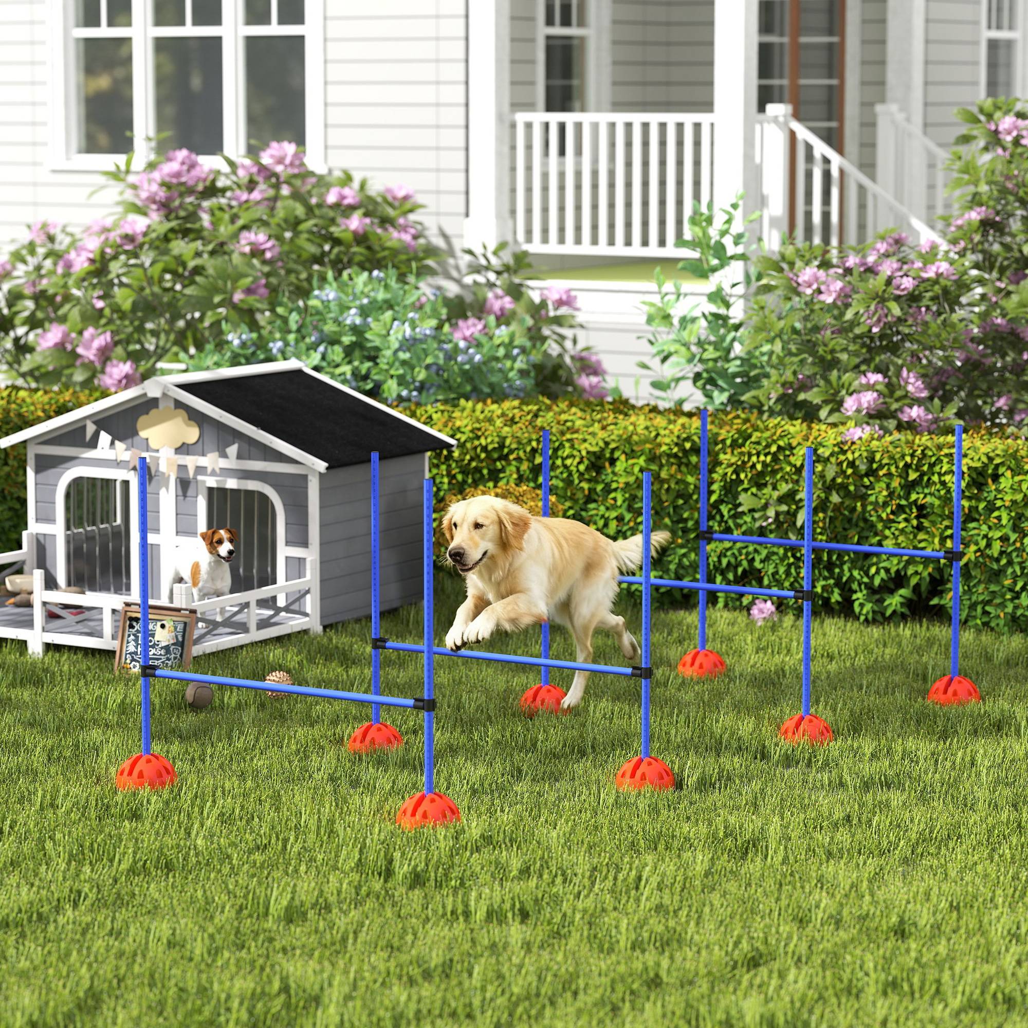 Kit d'agilité pour chien ABS bleu et orange 124 x 19.5 x 103 cm ...