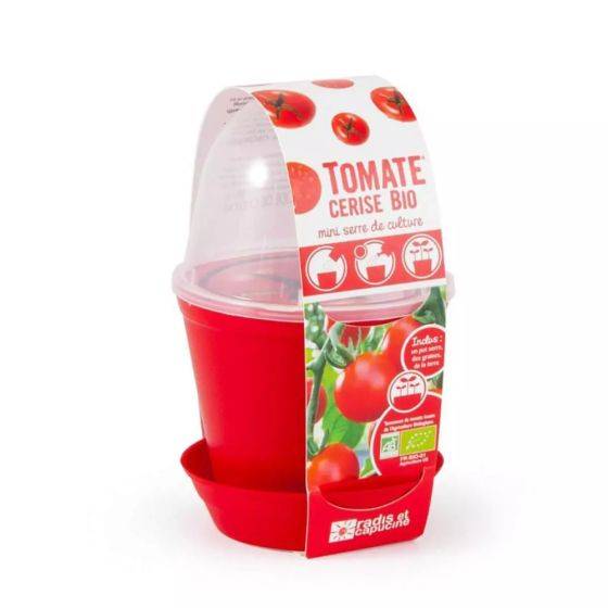 Radis et Capucine - Pot en cloche - Tomate cerise - Jardiland