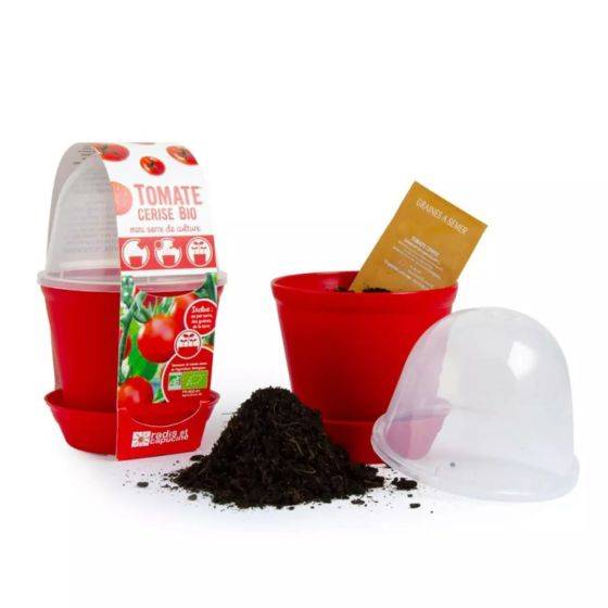 Radis et Capucine - Pot en cloche - Tomate cerise - Jardiland
