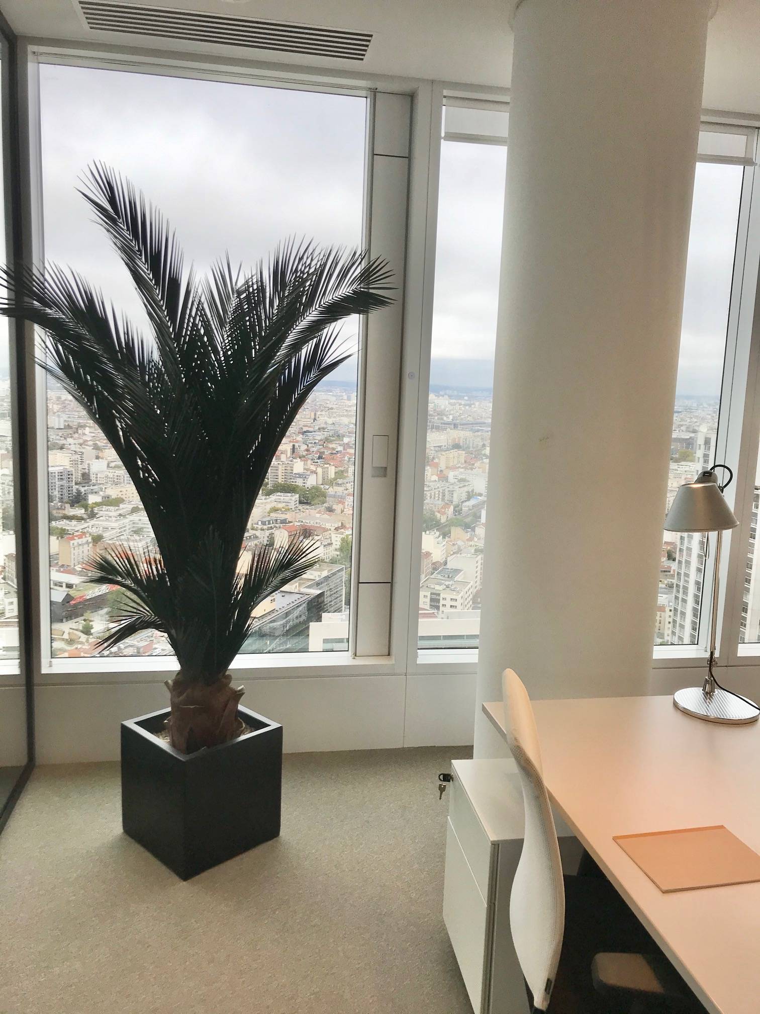 Sitemapcdatahttpsshopmixel Thicoipeinfopalmier Interieur Jardiland