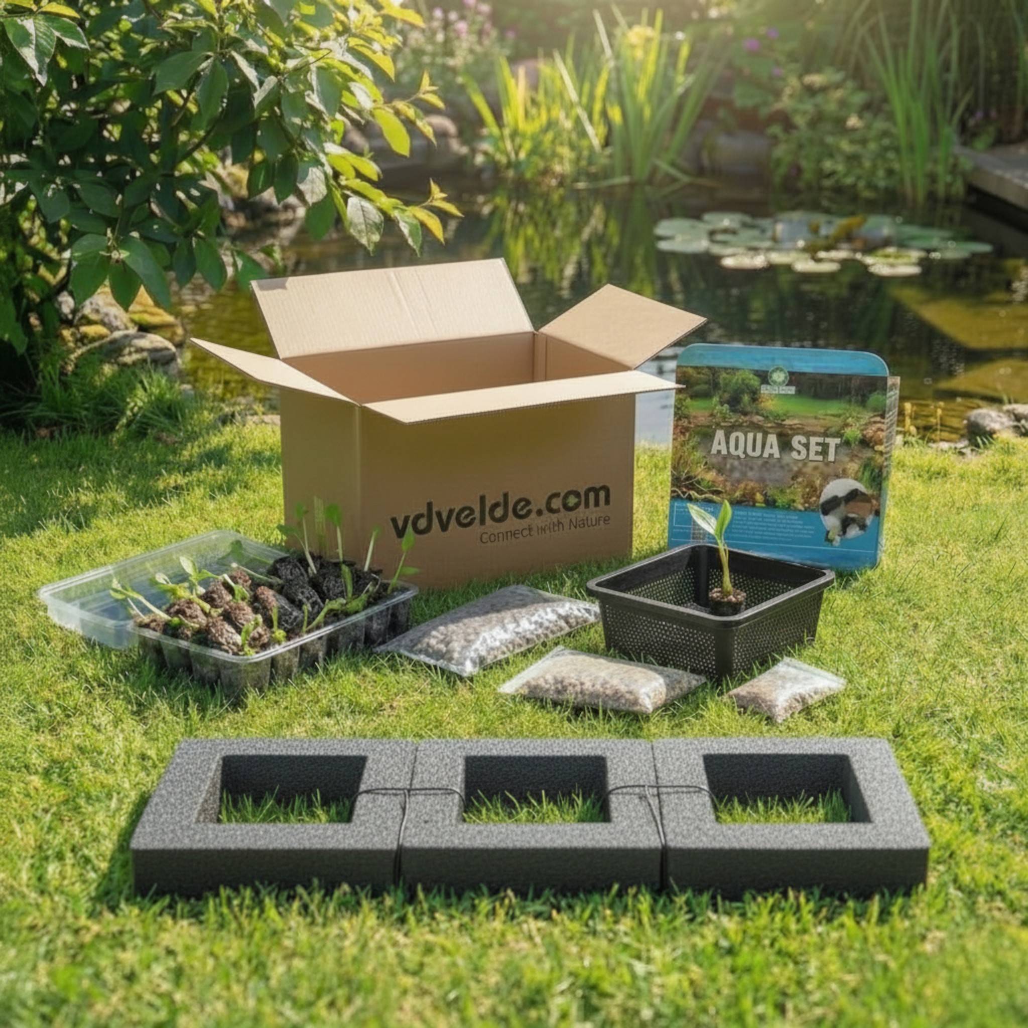 Île Filtrante pour Bassin 25x25 cm - Set Complet avec 4 Plantes - Jardiland