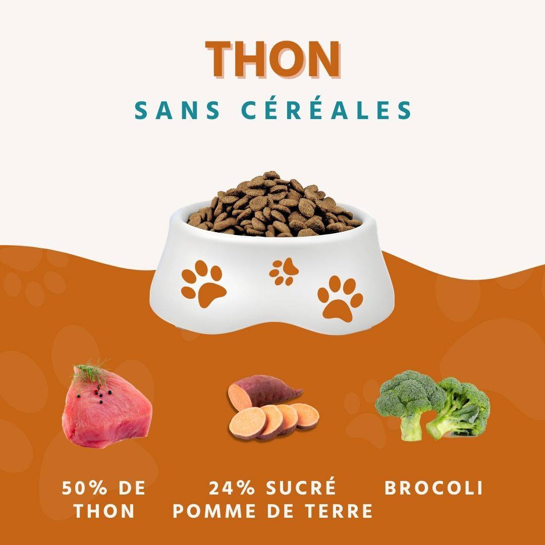 Pack chiot « Amour marin » - pour chiens de taille moyenne jusqu'à 25 ...