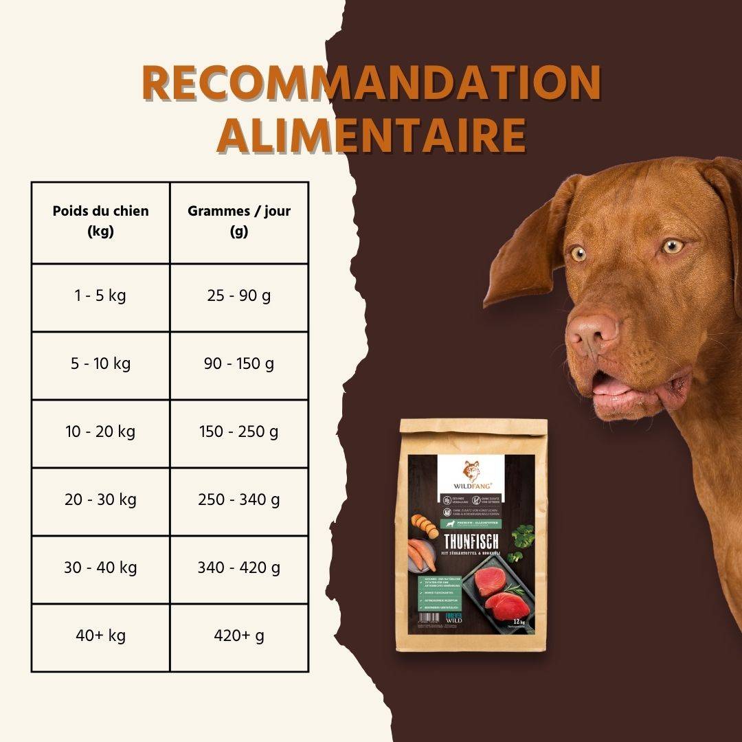 Pack chiot « Amour marin » - pour chiens de taille moyenne jusqu'à 25 ...
