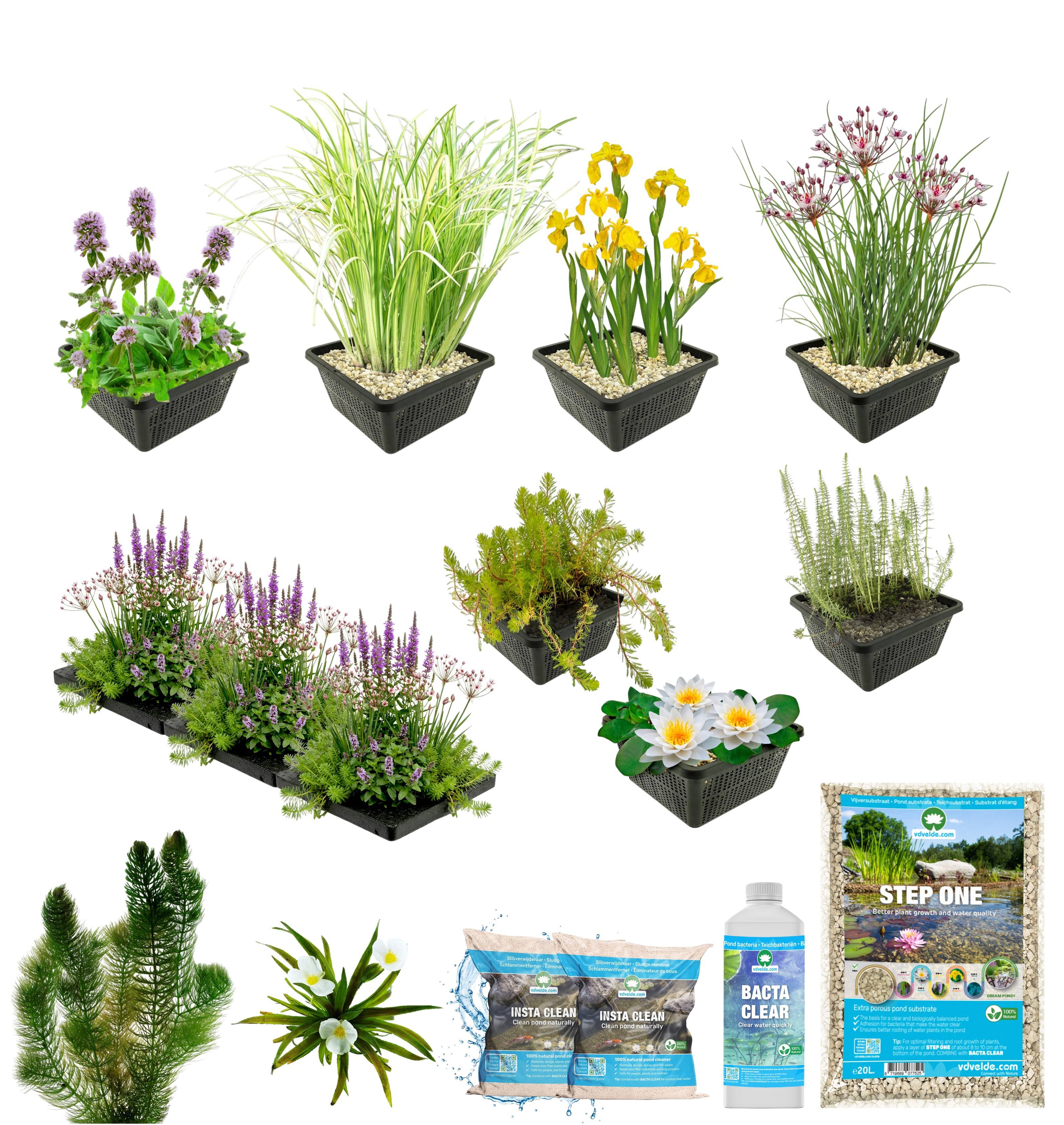 Pack Complet Bassin Indigène 1.500-3.000L - Oxygénantes & Berge - 200L ...