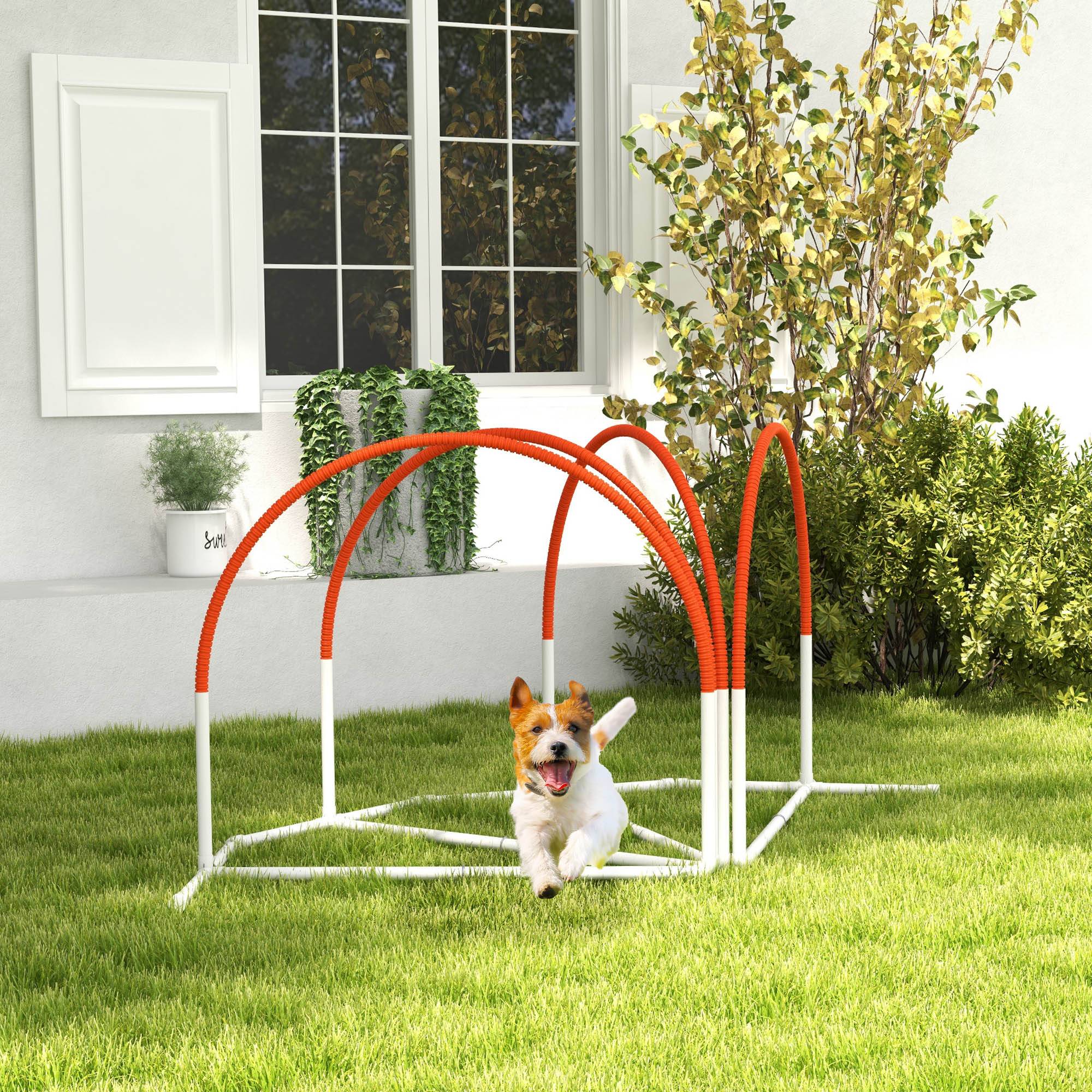 Kit d'agilité pour chien plastique blanc et orange 89 x 69 x 99 cm ...