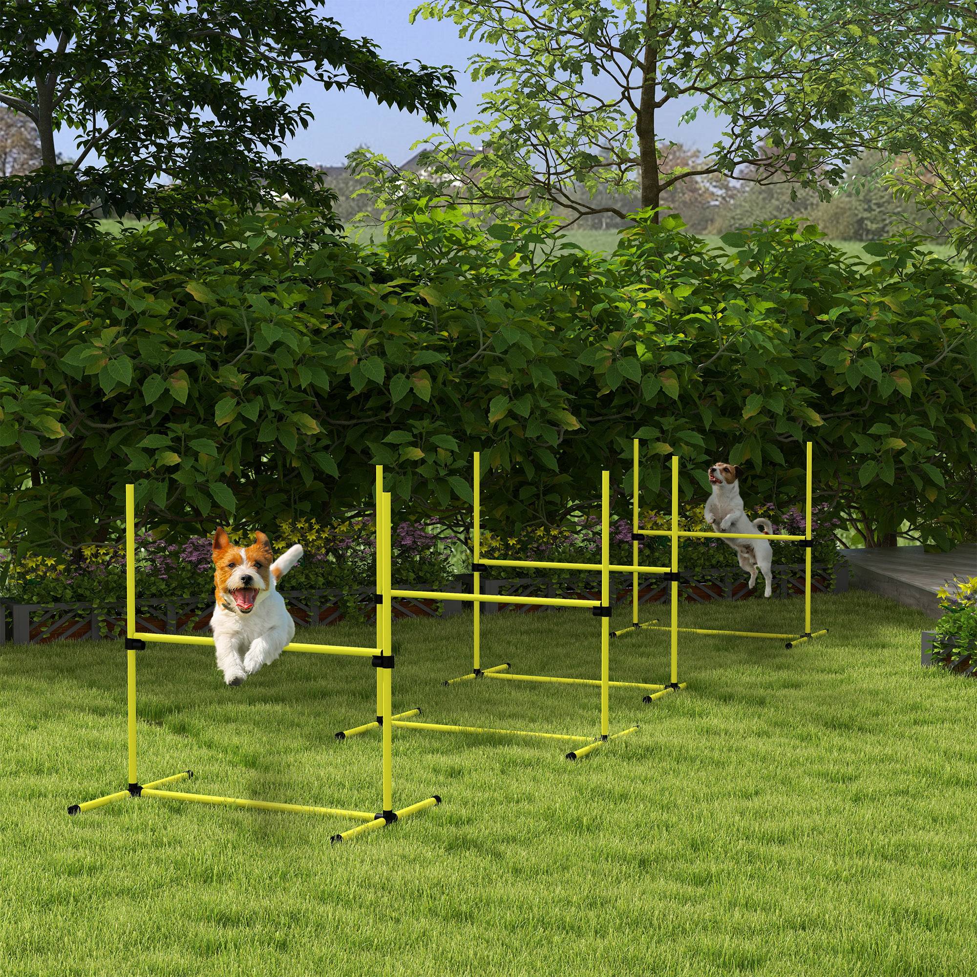 Obstacles d'agilité pour chien plastique bleu 99 x 65 x 94 cm - PANGIVO ...