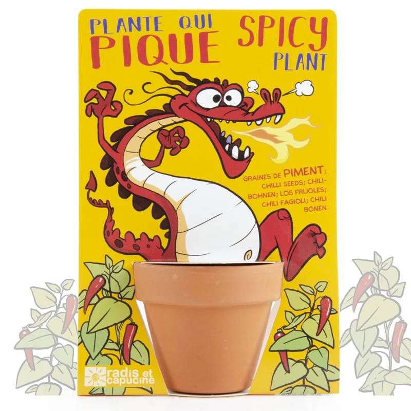 Kit De Plantación Pimiento De Cayena – RÁBANO Y CAPUCHINA - Jardiland