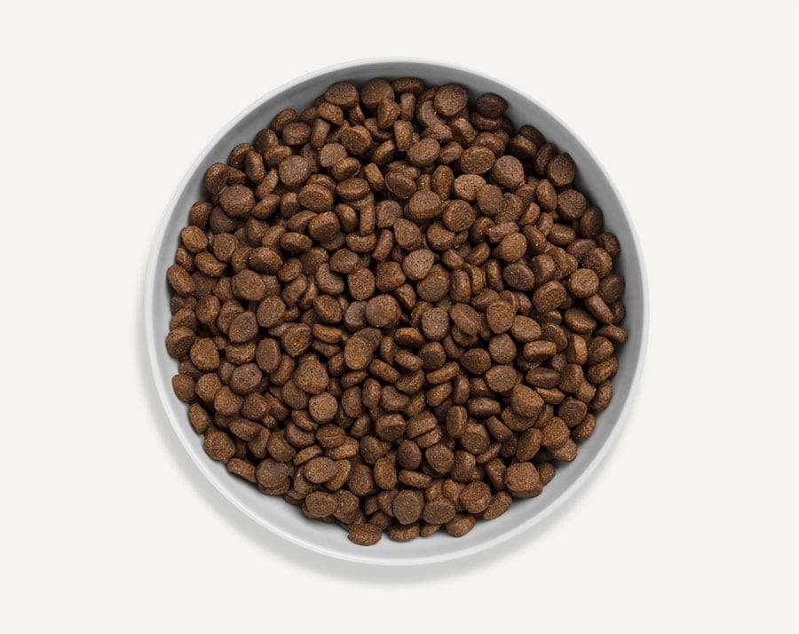 Croquetas para gatos con pollo de corral sin cereales 8 kg - Canagan ...