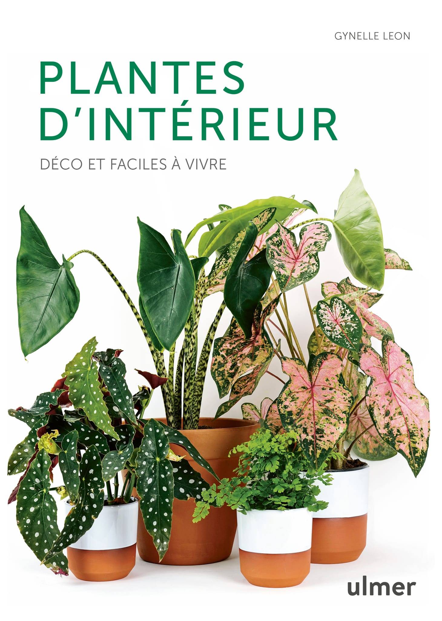 Sitemapcdatahttpsmodeinf Inetcompalmier Interieur Jardiland