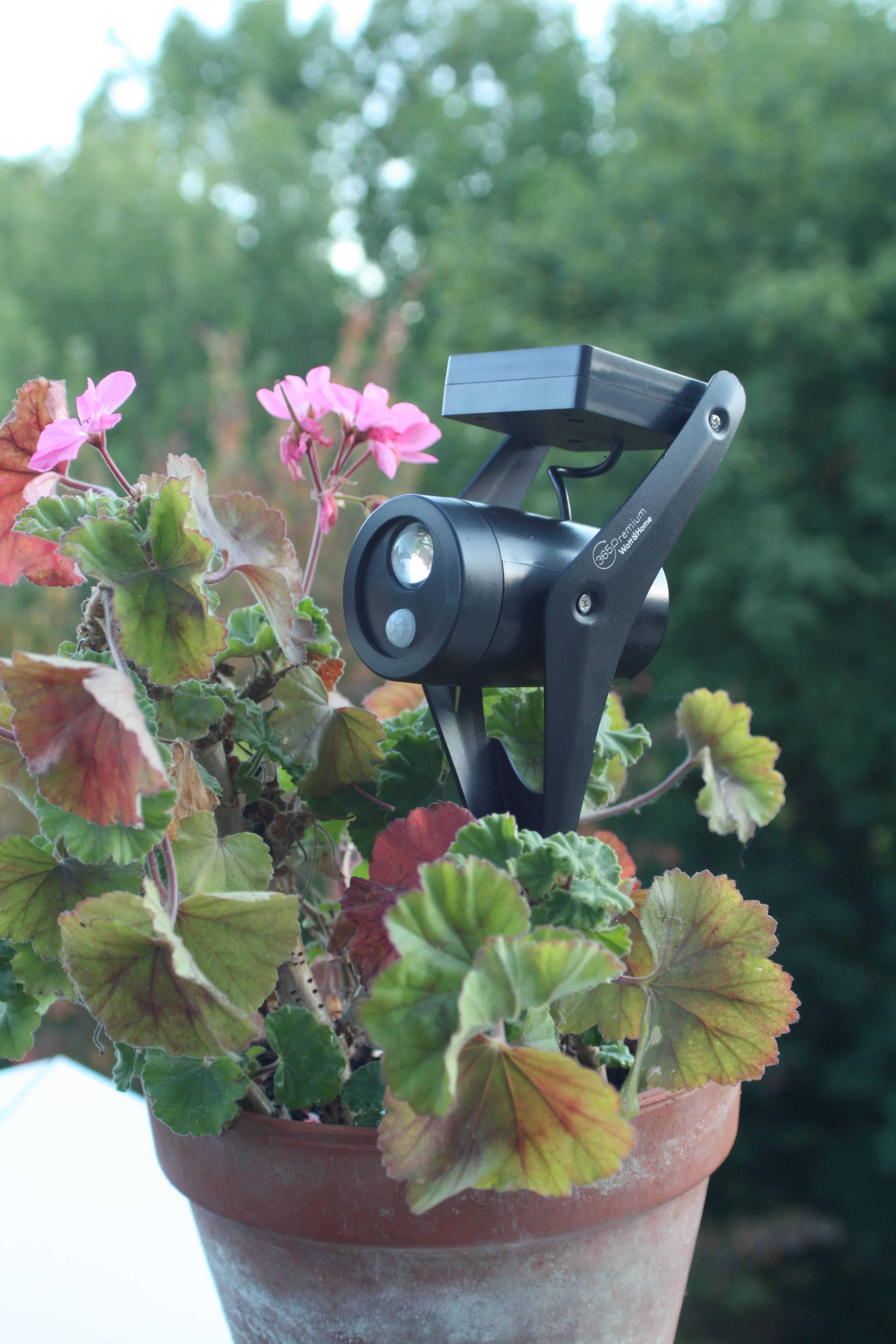 Spot à planter alu noir avec détecteur 250 lumens - ECLOZ - Jardiland